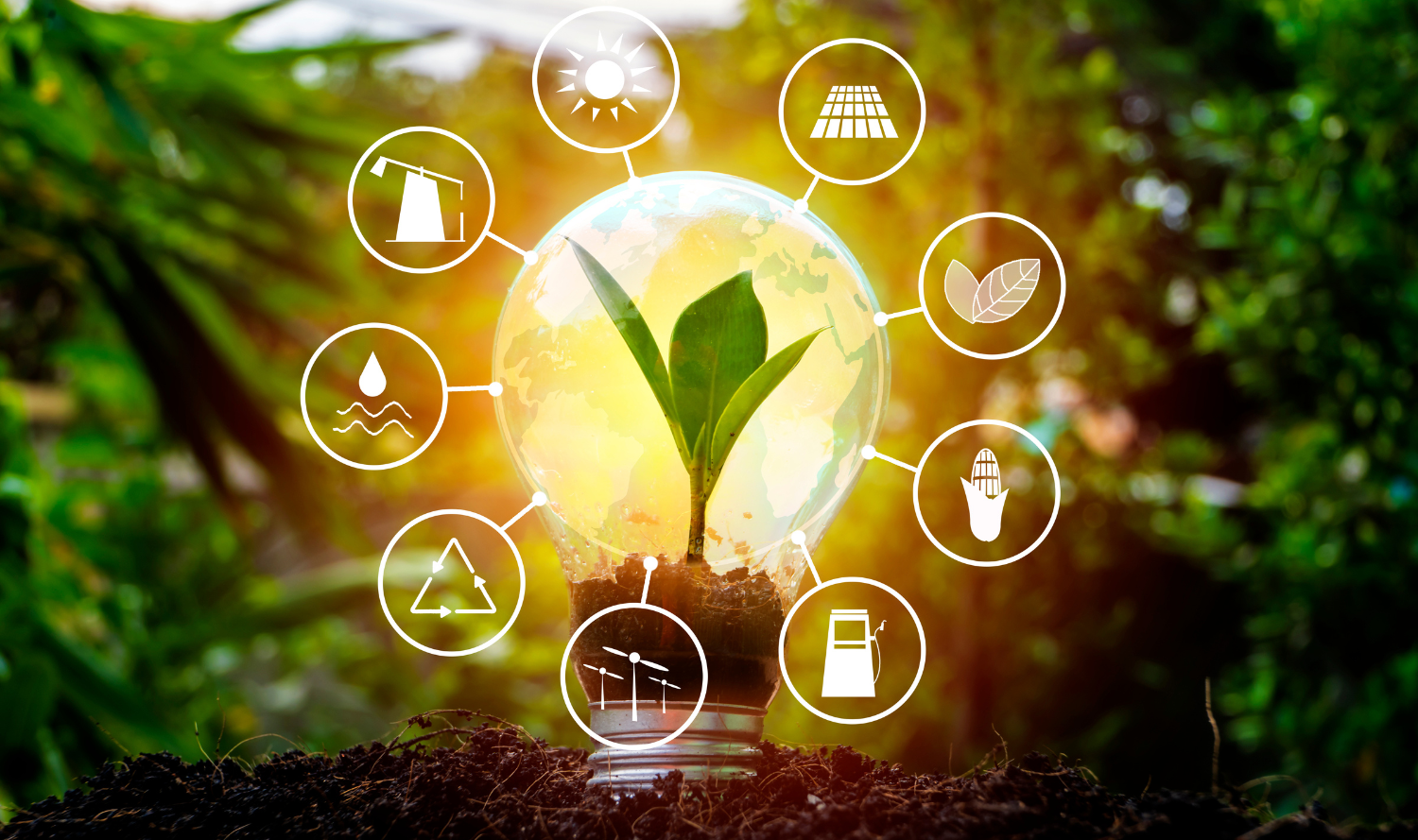 Energy Efficiency Grants for SME’s | Crest Accountants